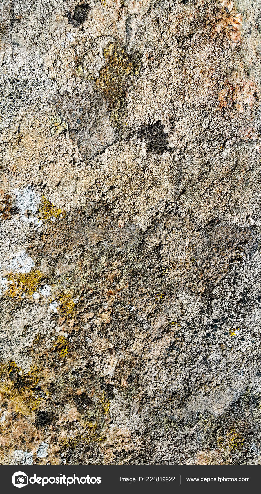 Stone Surface Texture — Stock Photo © Kirill_Blinov #224819922