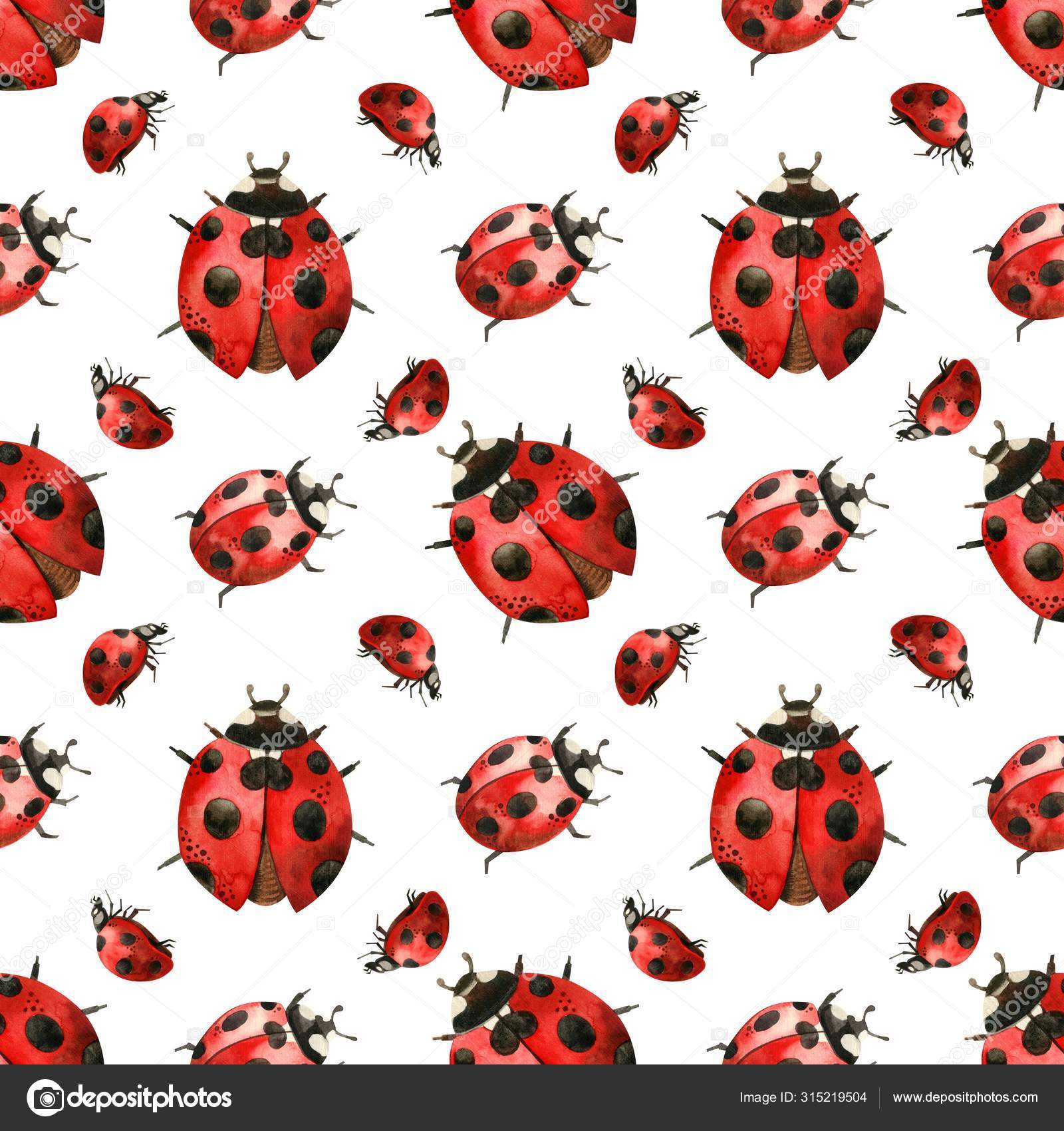 Watercolor Pattern Cute Red Ladybug Insects Watercolor Technique ...