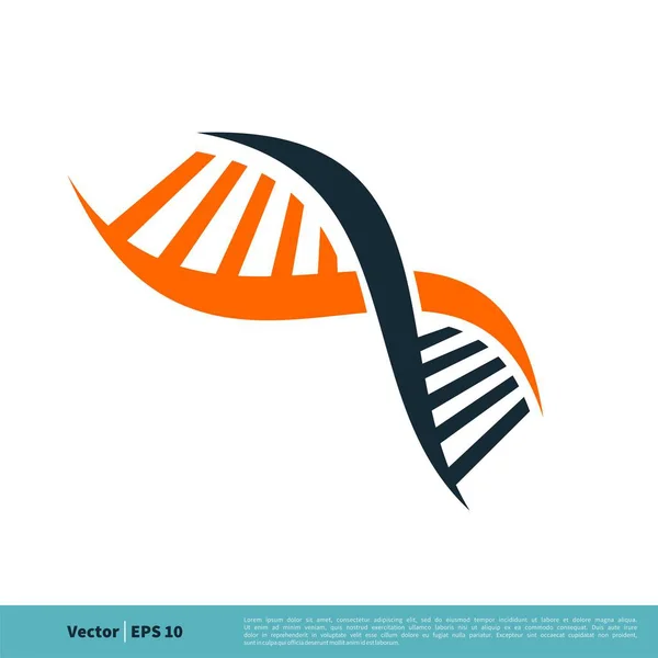 Scales on the line Vector Art Stock Images | Depositphotos