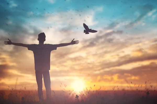 Reborn Stock Photos, Royalty Free Reborn Images | Depositphotos