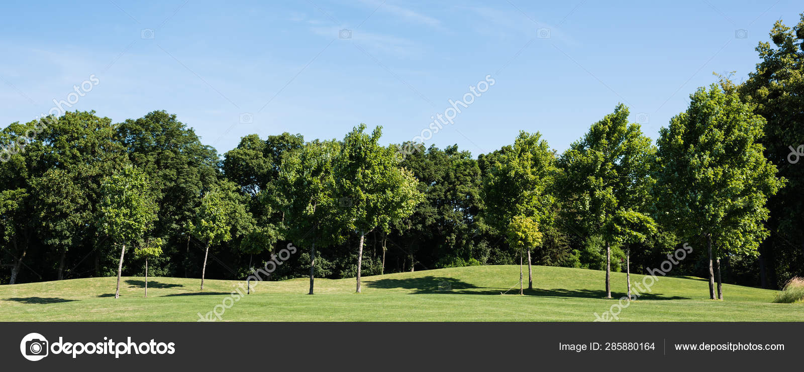 Panoramic Shot Trees Green Leaves Green Grass Blue Sky Park Stock Photo ...