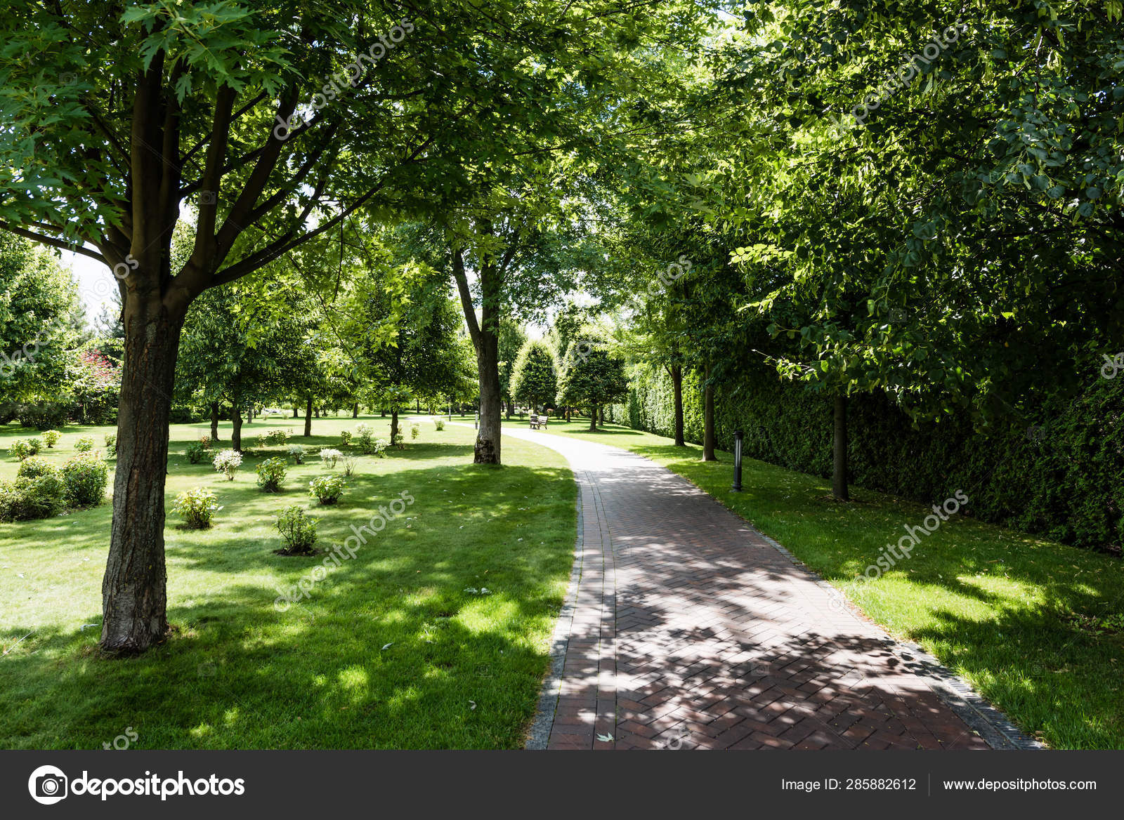 Shadows Green Grass Bushes Trees Path Park — Stock Photo © HayDmitriy ...