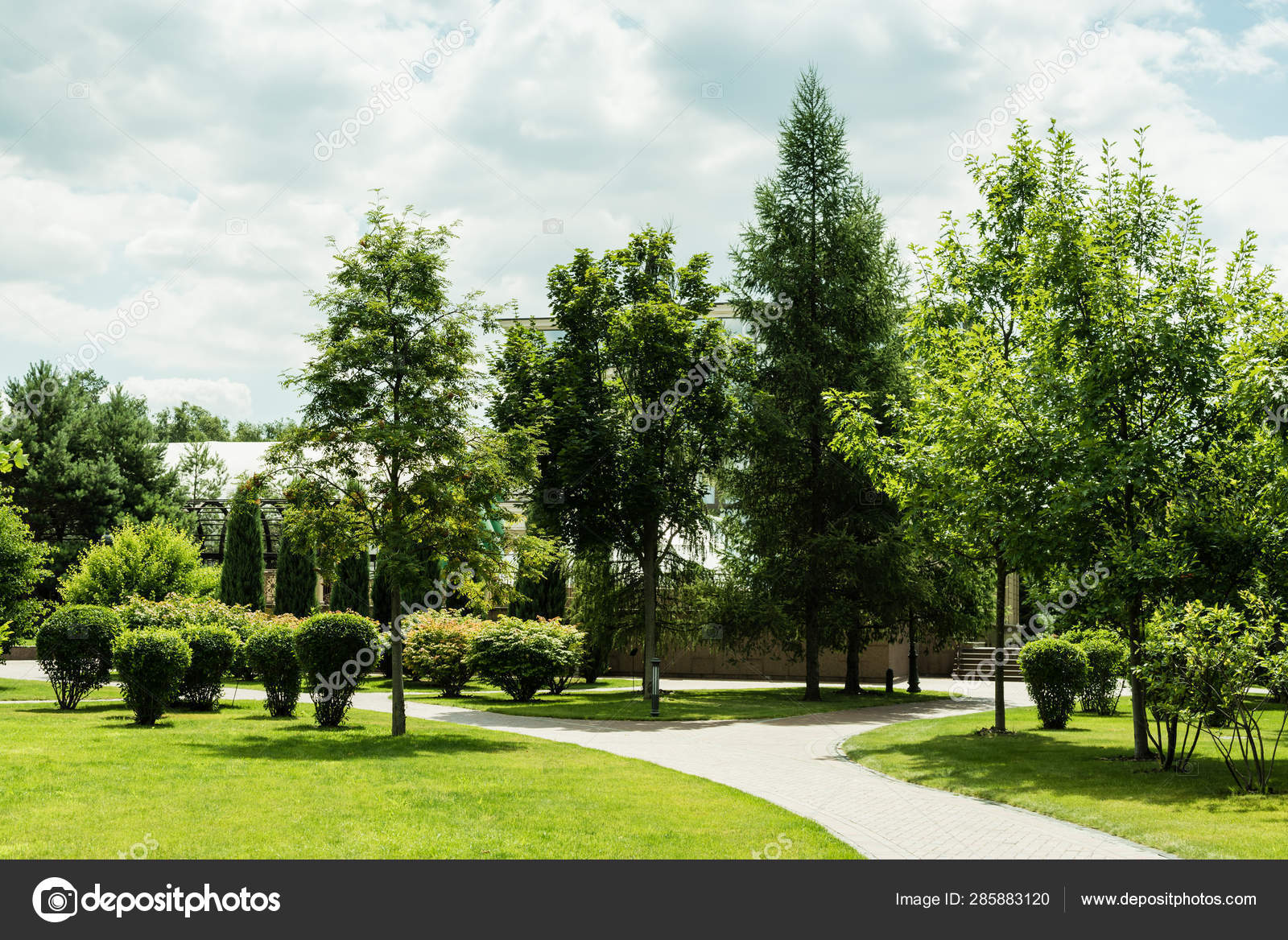 Shadows Green Fresh Grass Trees Sky Clouds — Stock Photo © HayDmitriy ...