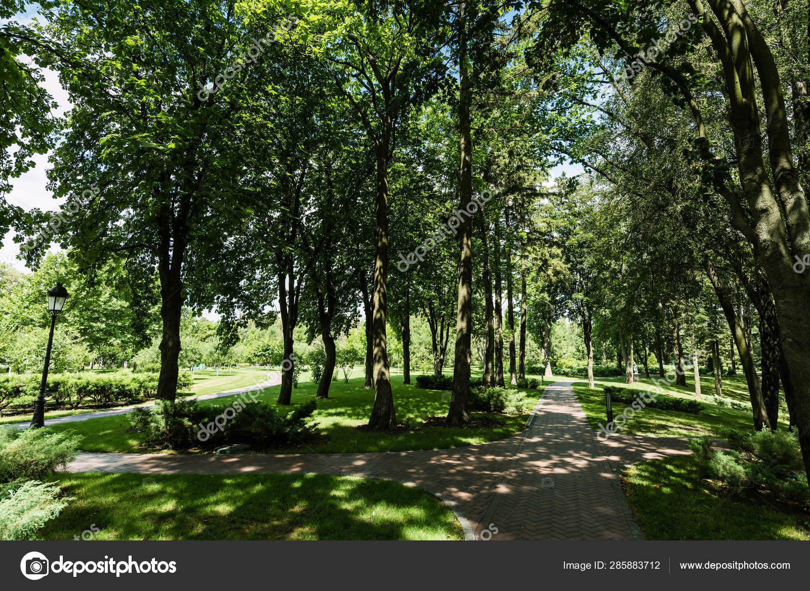Sunlight Path Shadows Trees Bushes Park — Stock Photo © HayDmitriy ...