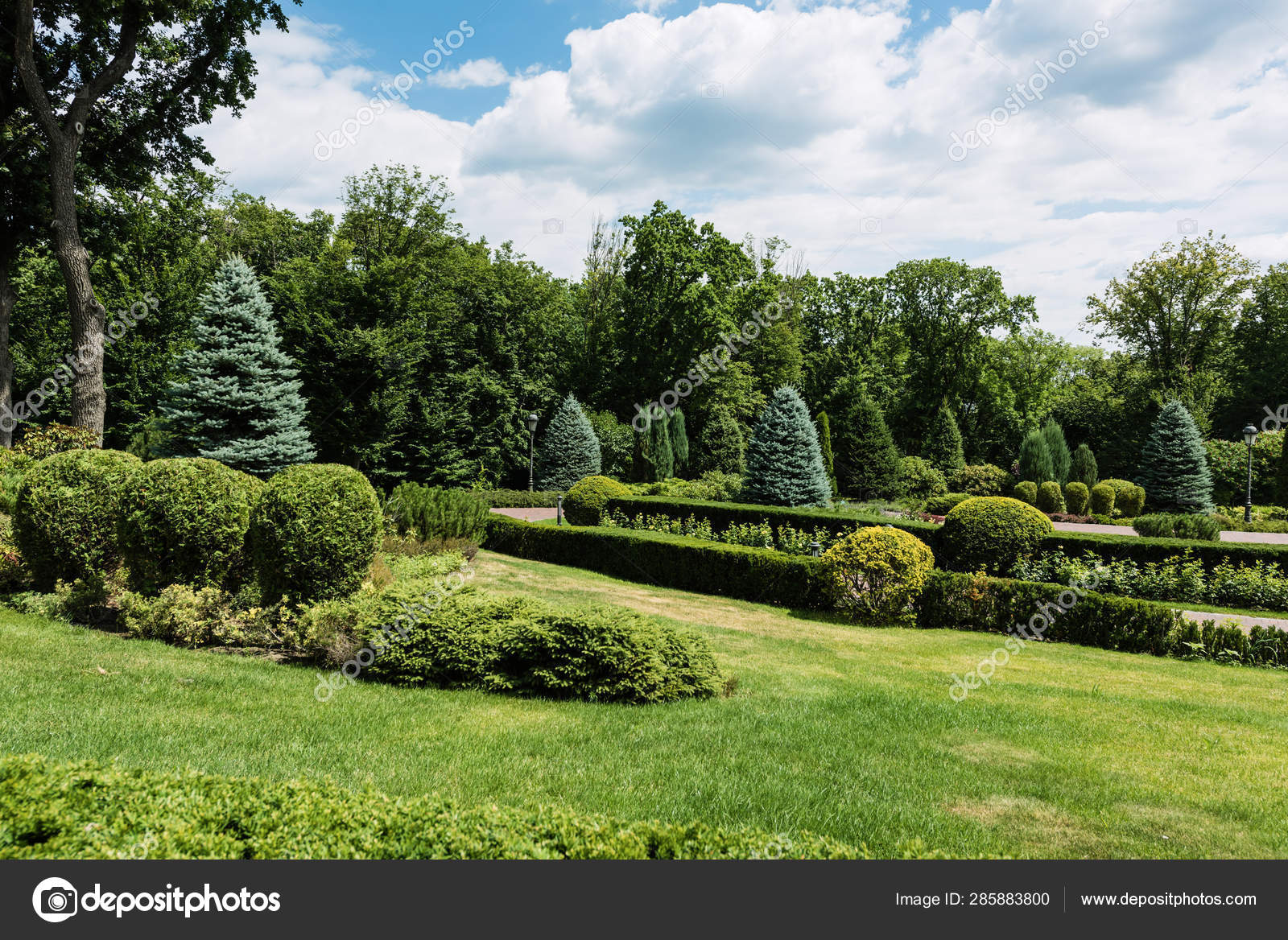 Small Bushes Grass Trees Pines Park — Stock Photo © HayDmitriy #285883800