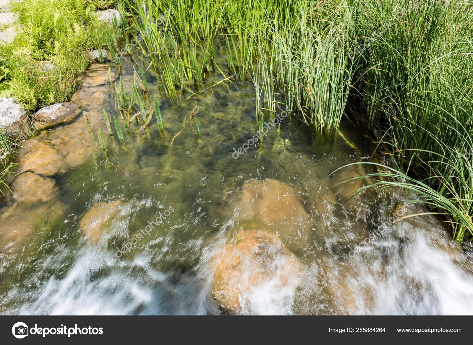 River Clean Water Flowing Rocks Grass — Stock Photo © HayDmitriy #285884264