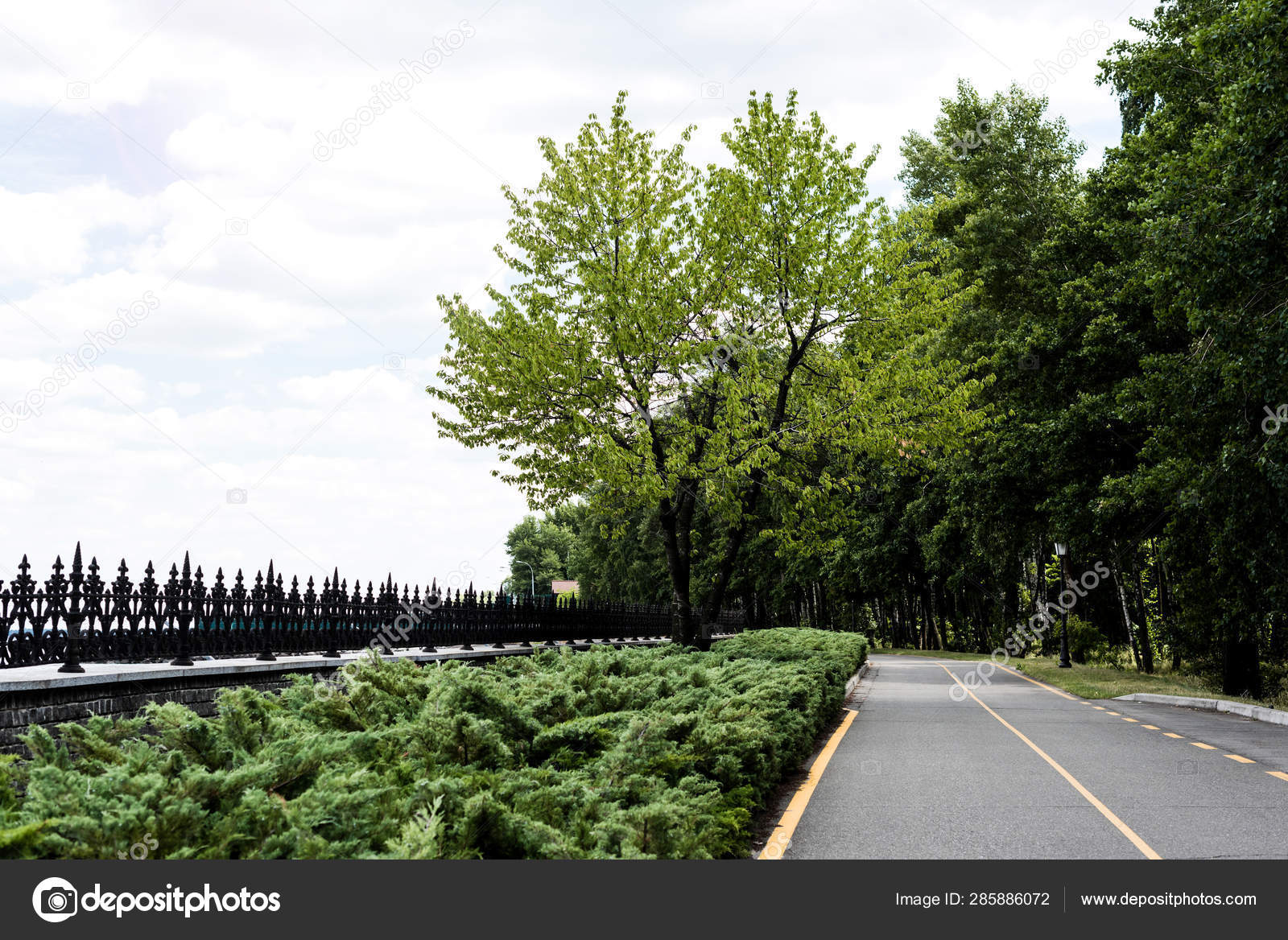 Path Yellow Line Trees Green Fresh Leaves — Stock Photo © HayDmitriy ...