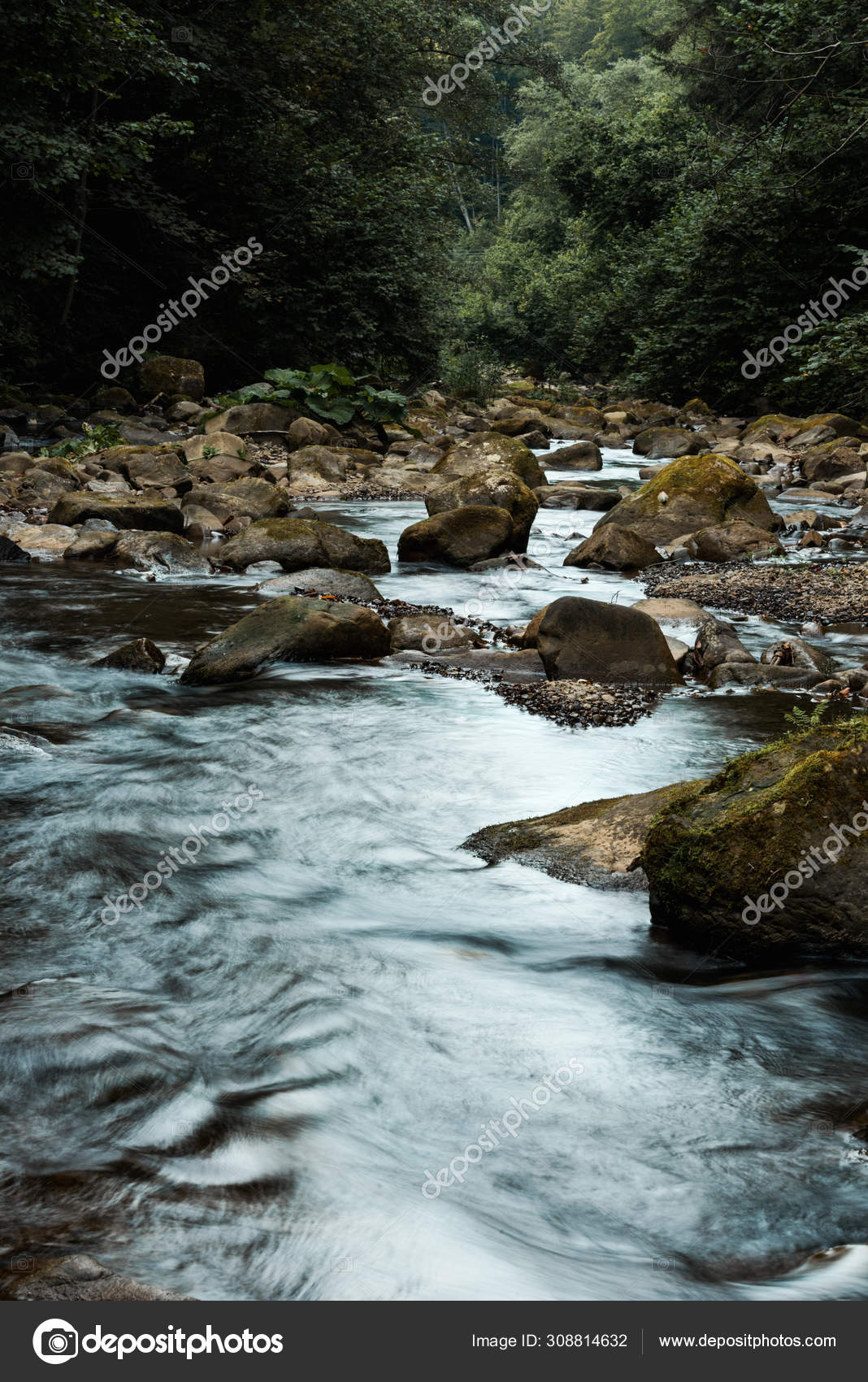 Wet Rocks Flowing Brook Green Trees Woods — Stock Photo © HayDmitriy ...