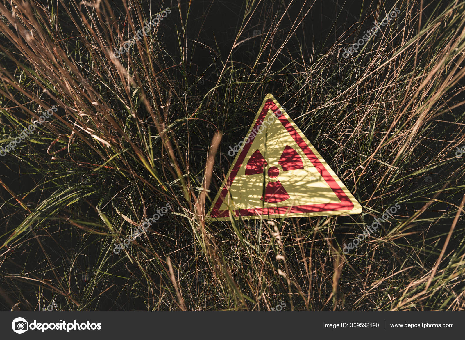 Top View Triangle Warning Toxic Symbol Grass Post Apocalyptic Concept ...