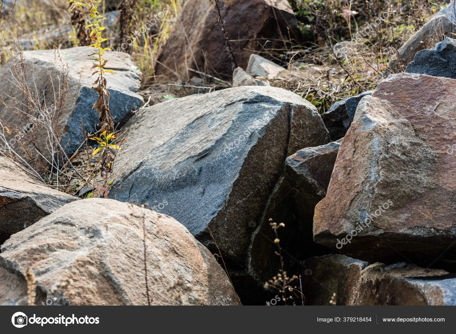 Selective Focus Rocks Plants Ground ⬇ Stock Photo, Image by ...