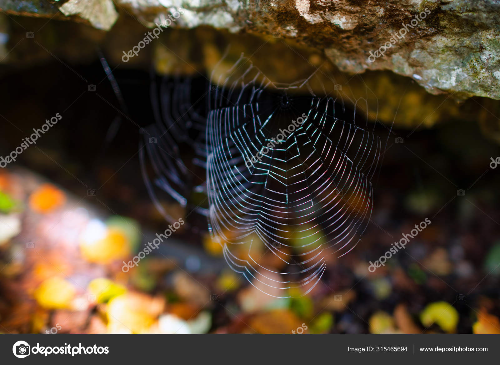 Spider web before a cave in the rock — Stock Photo © michelangeloop ...