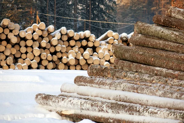 Winter logging Stock Photos, Royalty Free Winter logging Images ...