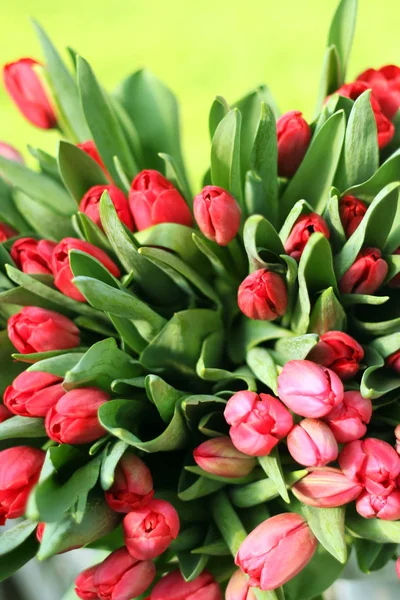 Red tulip bouquet Stock Photos, Royalty Free Red tulip bouquet Images | Depositphotos