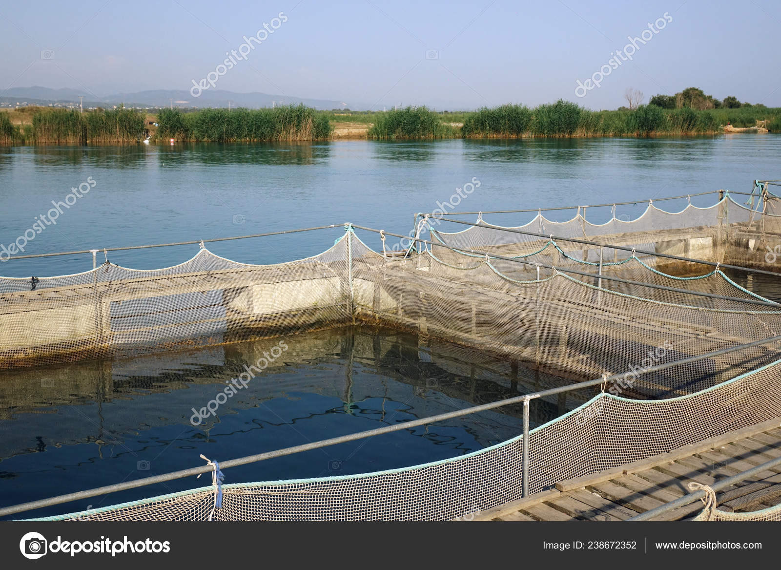 Fish farm on the river . Stock Photo by ©andrey-sha74 238672352