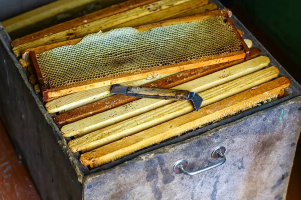 Beekeeper working tools on the hive. beekeeping equipment on the old ...
