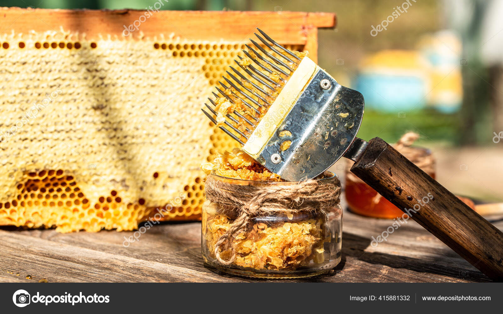 Close Beekeeper Uncapping Honeycomb Special Beekeeping Fork Raw Honey ...