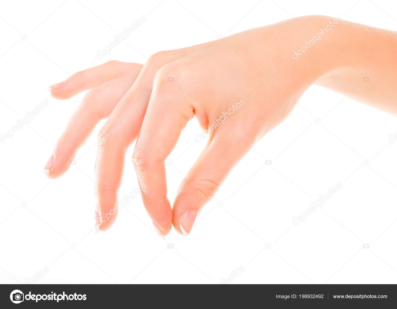 Woman Hand Hold Virtual Thing Isolated White ⬇ Stock Photo, Image by ...