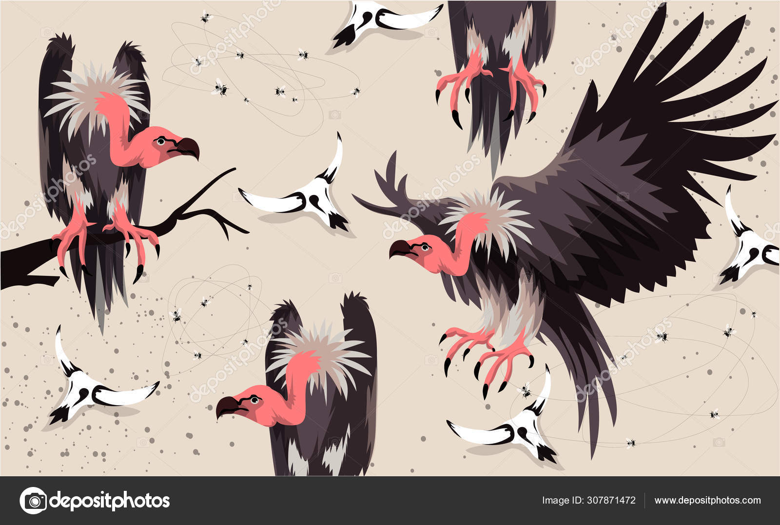 Evil Vulture Cartoon