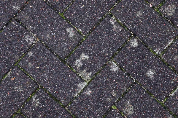 Mottled patches Stock Photos, Royalty Free Mottled patches Images ...