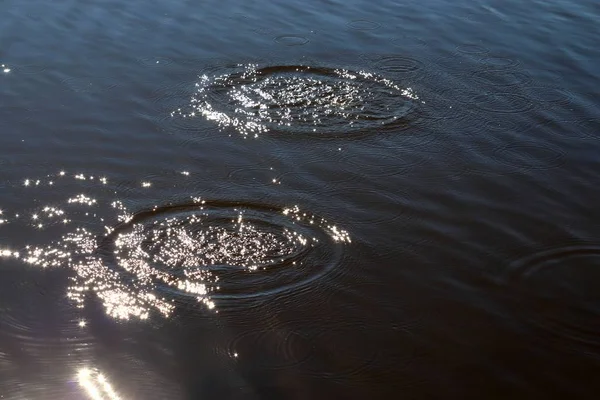 Water circles Stock Photos, Royalty Free Water circles Images ...