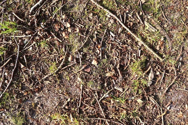 Weeds surface Stock Photos, Royalty Free Weeds surface Images ...