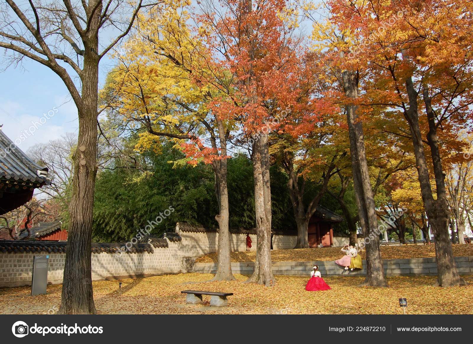 Traditional Korean Buildings Jeonju Hanok Village Covered Leaves Autumn ...