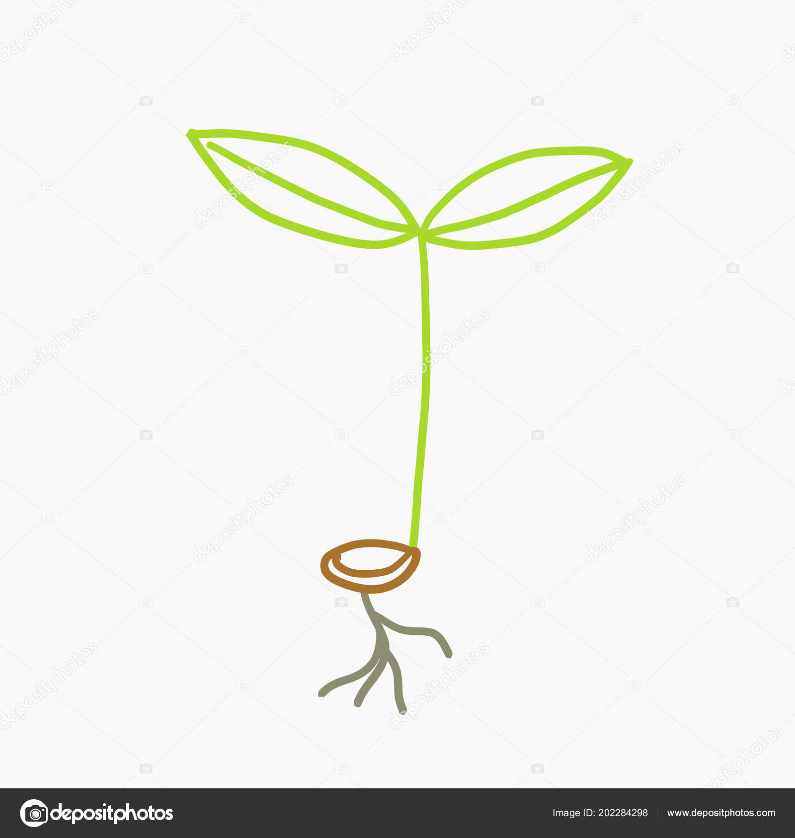 Doodle Dibujado Planta Plántulas Icono Ilustración Vectorial Vector de ...