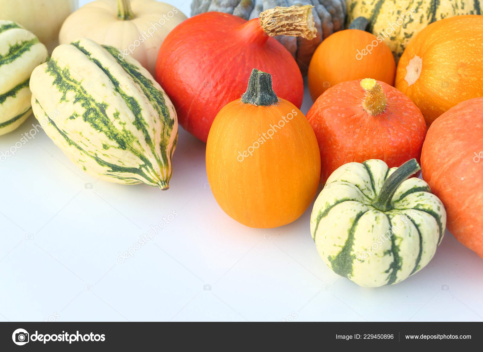 Pumpkins Squashes Varieties Food Background Stock Photo by ...