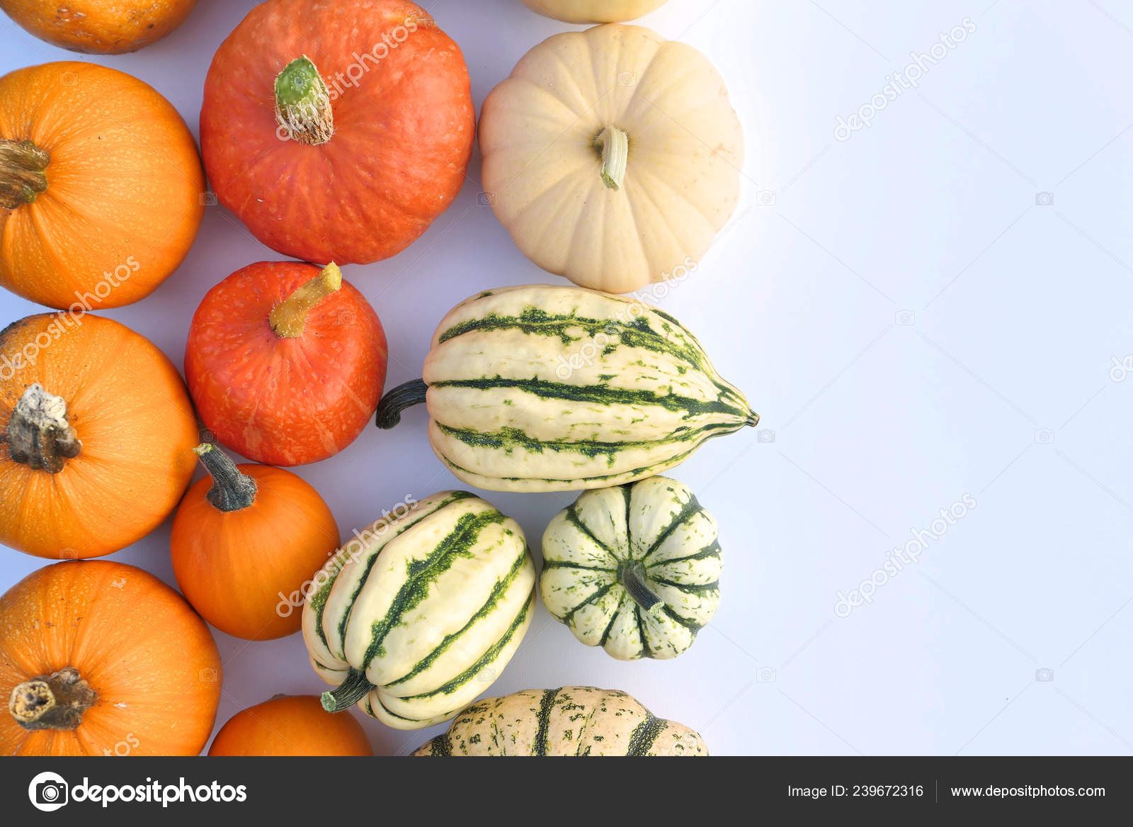 Pumpkins Squashes Varieties Food Background Stock Photo by ...