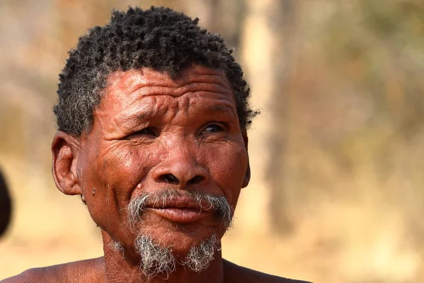 San people Stock Photos, Royalty Free San people Images | Depositphotos