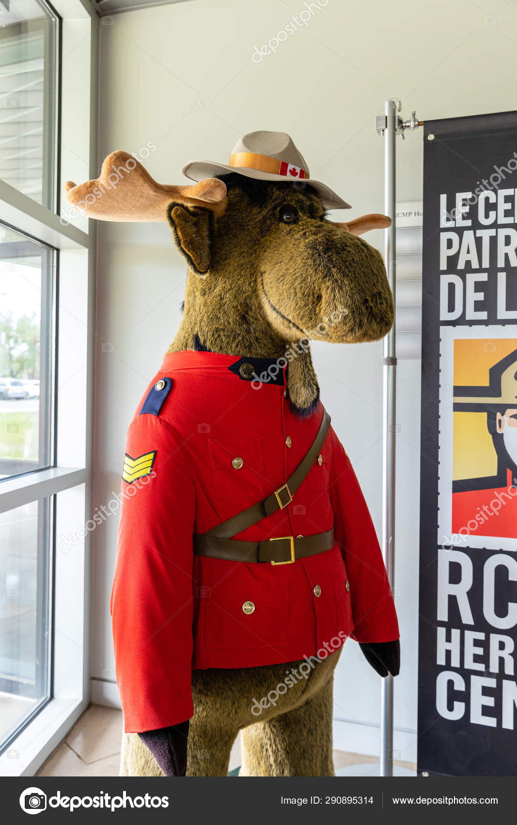 Canadian Mounted Police Costume
