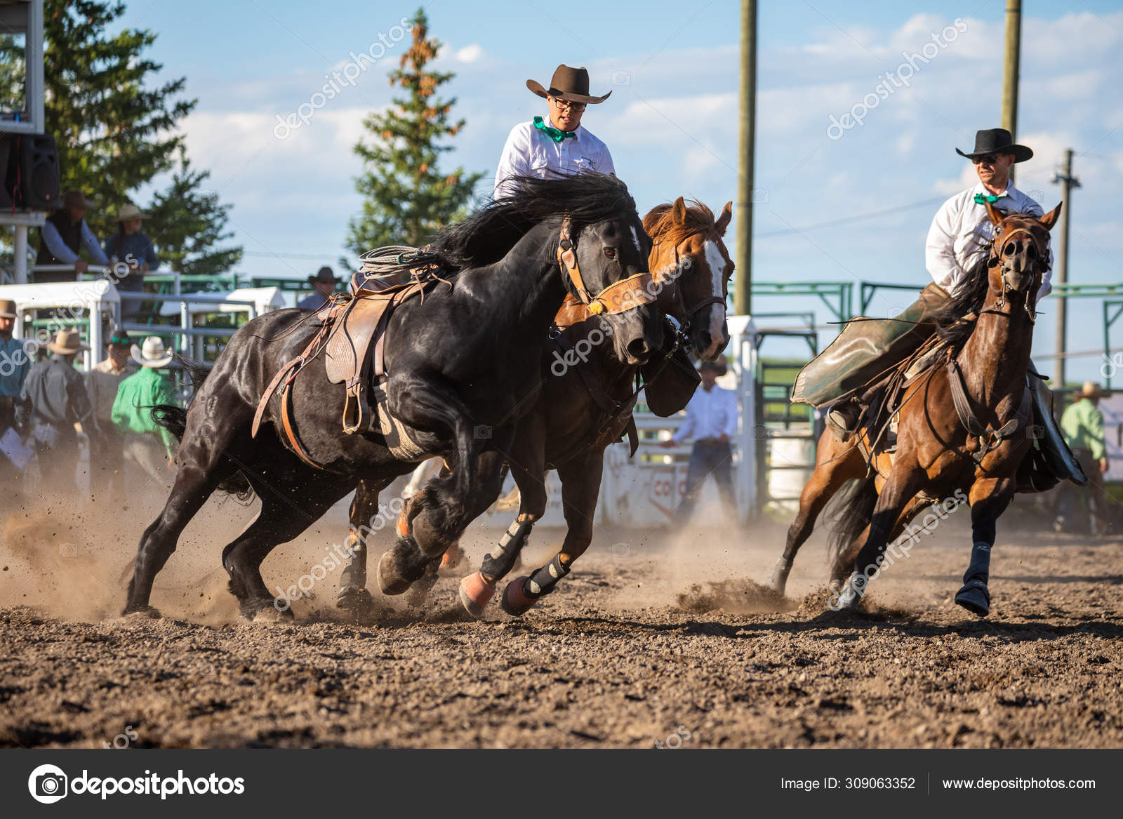 Rodeo Bronco Riding Pincher Creek Canada June 2019 — Stock Editorial ...