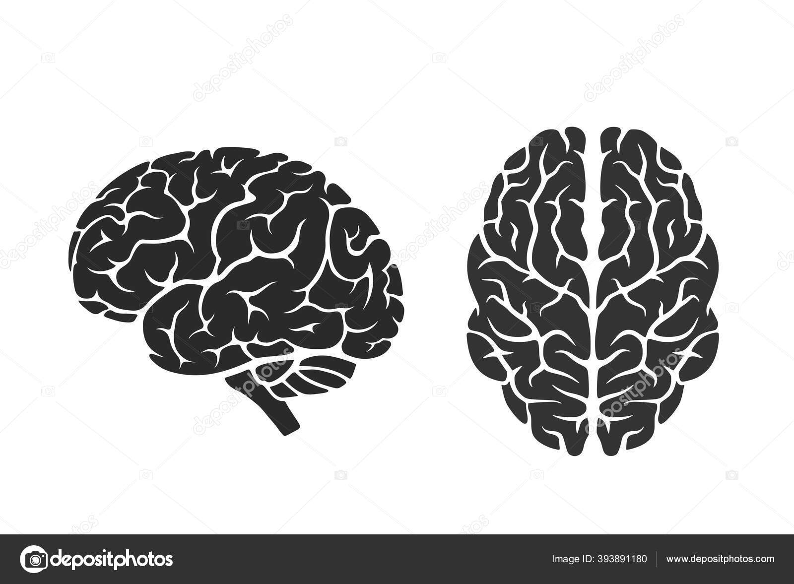 Brain Icons Side Top View Isolated Vector Mind Intelligence Psychology ...