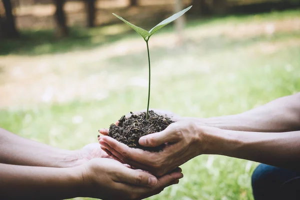 World environment day reforesting, Hands of young man helping we ...