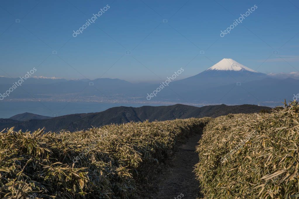 Montaña Fuji y la bahía de Suruga en temporada de invierno en la ...