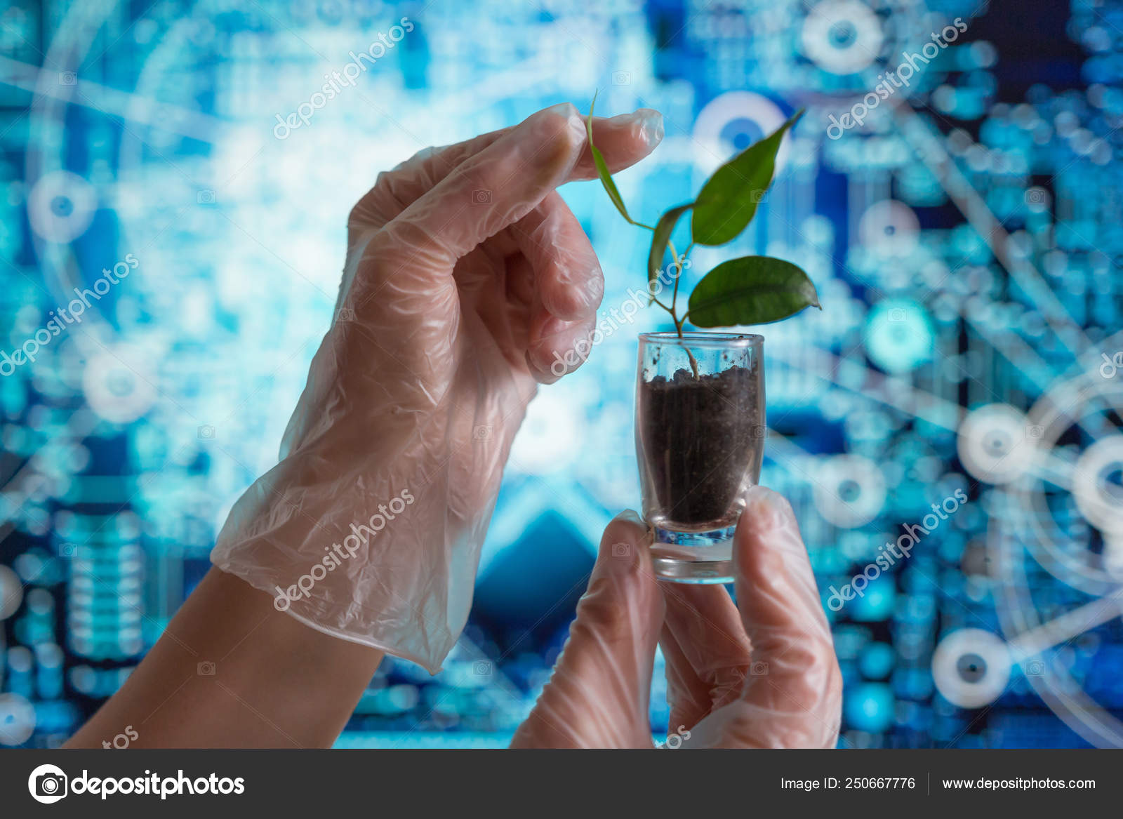 Smart farming with IoT, futuristic agriculture concept, cultivating ...