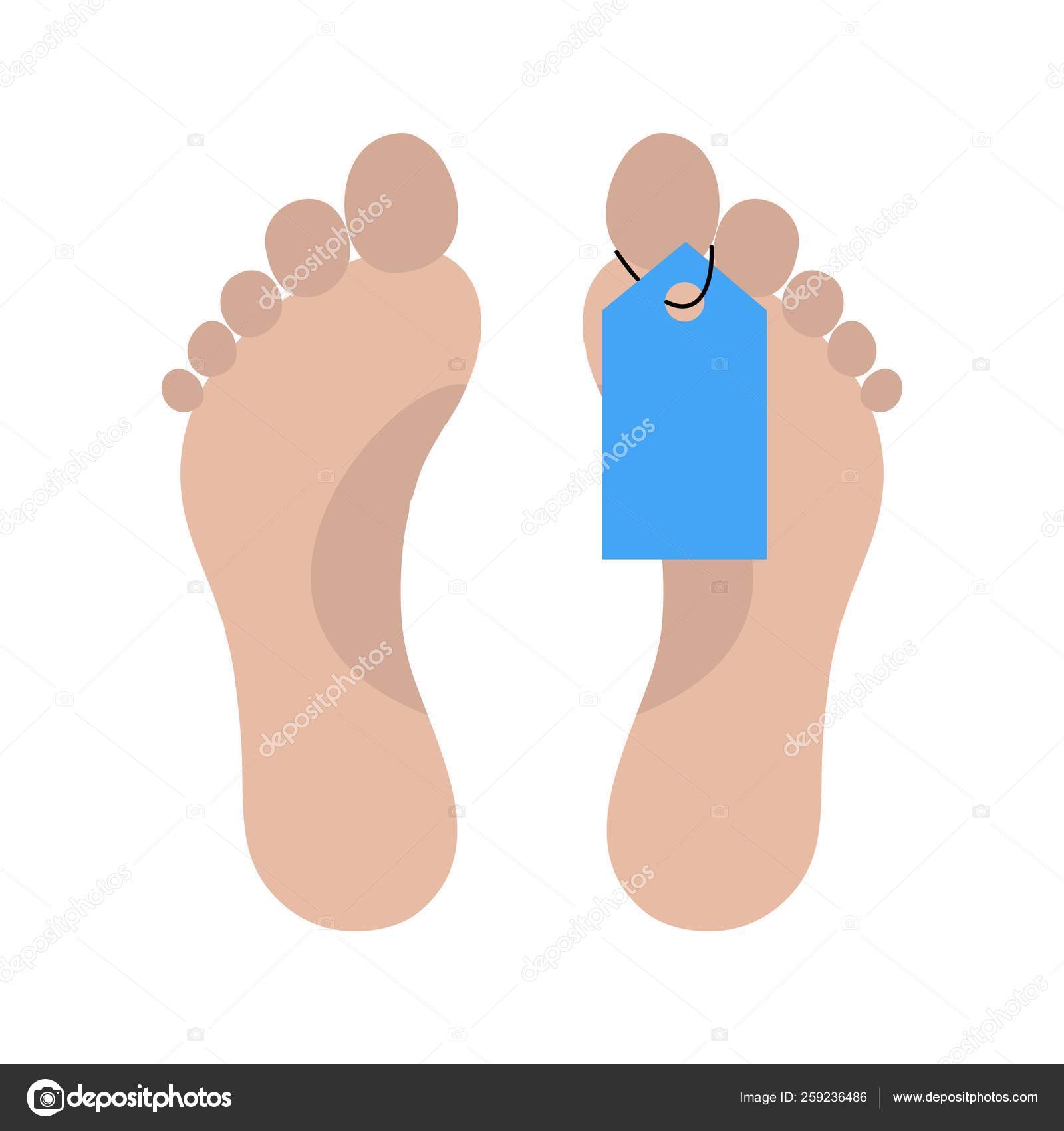 Illustration Toe Tag Icon Stock Illustration by ©IYIKON #259236486