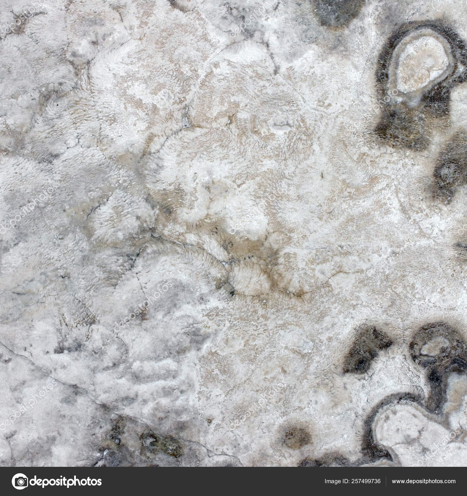 Image Spotted Marble Stone Background Stock Photo by ©YAYImages 257499736