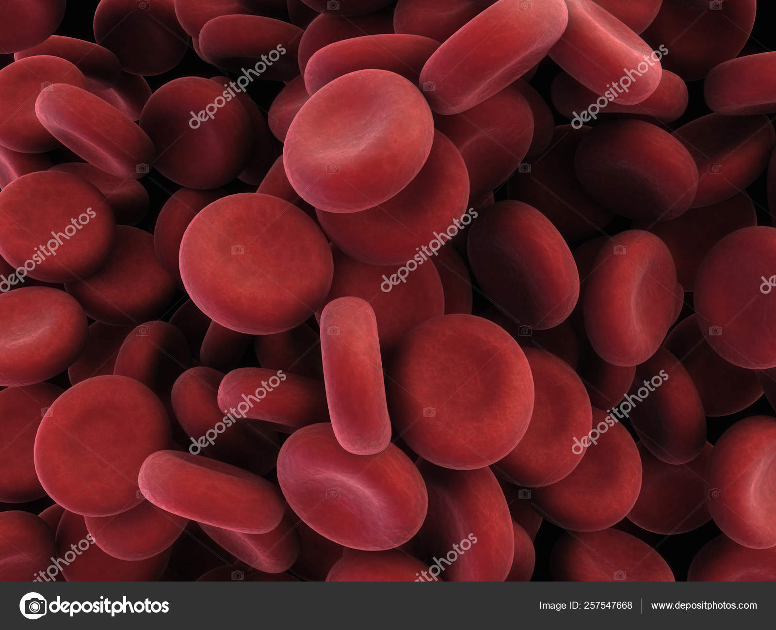 Rendered Close Many Red Blood Cells Stock Photo by ©YAYImages 257547668