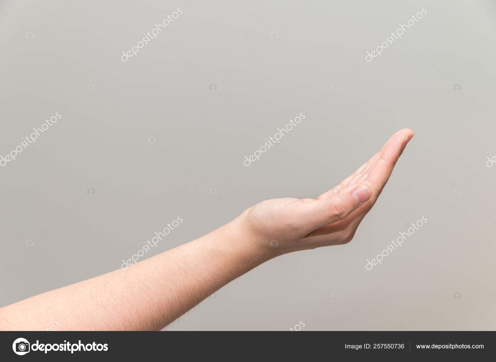 Human Hand Open Palm Ready Recieve Light Gray Background Stock Photo by ...