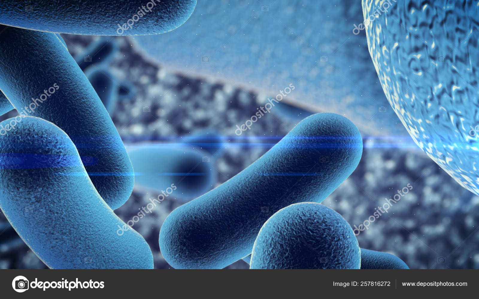Rendering Bacterial Infection Microscope Stock Photo by ©YAYImages ...