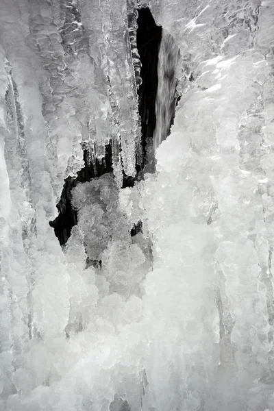 Icecle fotos de stock, imágenes de Icecle sin royalties | Depositphotos