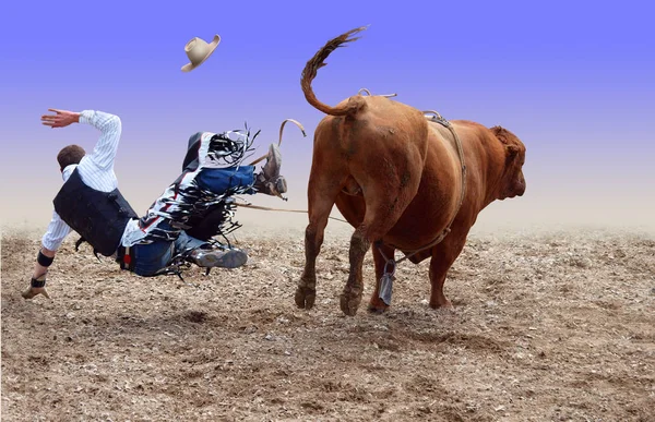 ᐈ Bull rider stock images, Royalty Free bull rider photos | download on ...