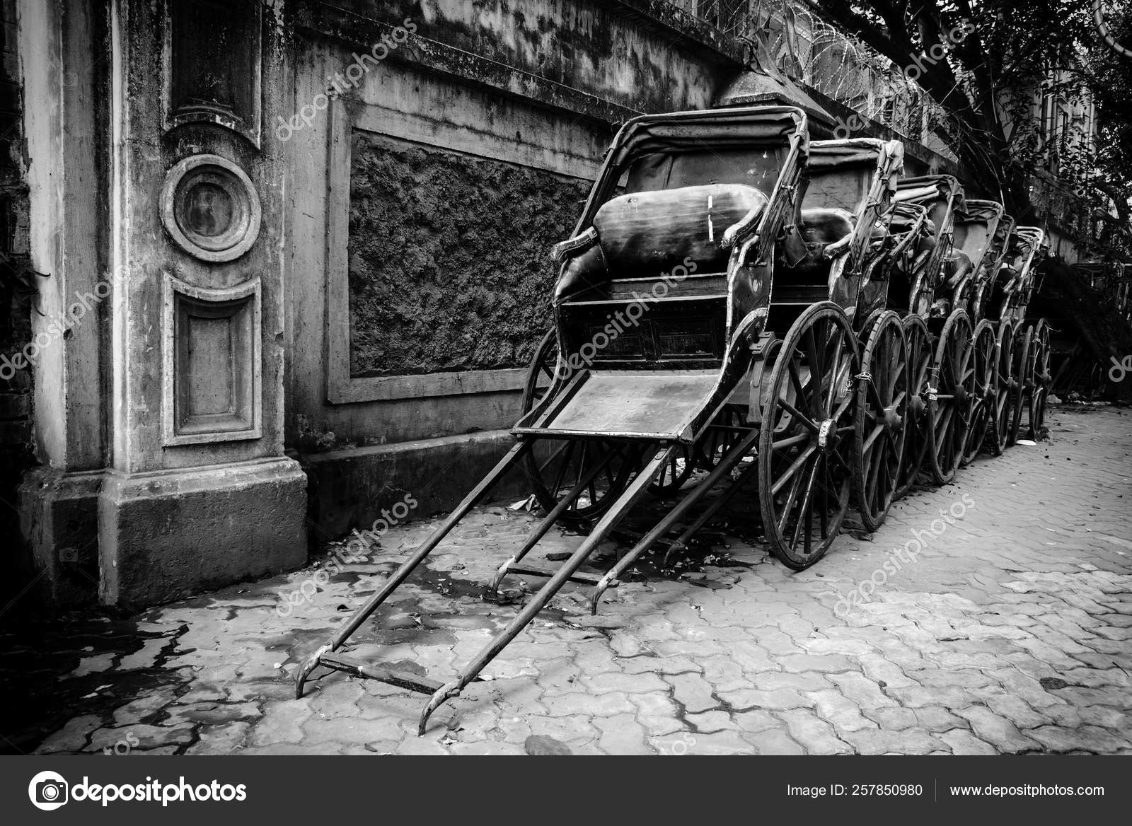 Black White Image Traditional Hand Pulled Indian Rickshaws Parked ...