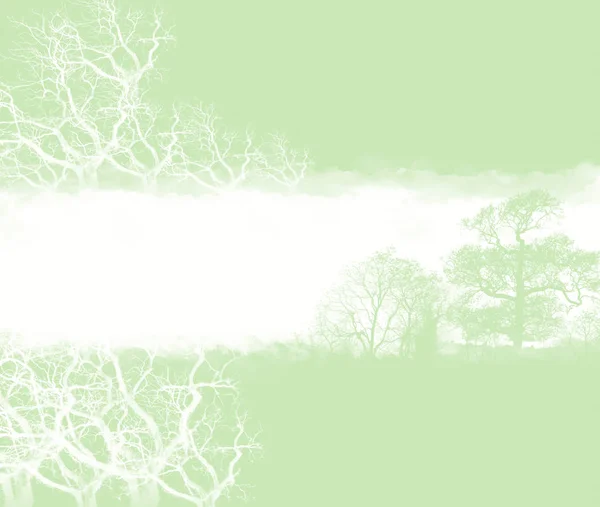 Tree Paper Texture Stock Photo by ©YAYImages 261285680