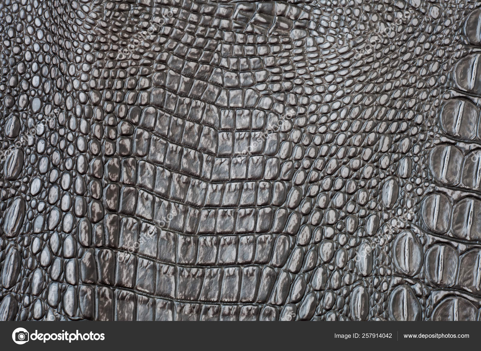 Seamless Natural Crocodile Skin Texture Stock Photo by ©YAYImages 257914042 Seamless Natural Crocodile Skin Texture Stock Photo by ©YAYImages 257914042