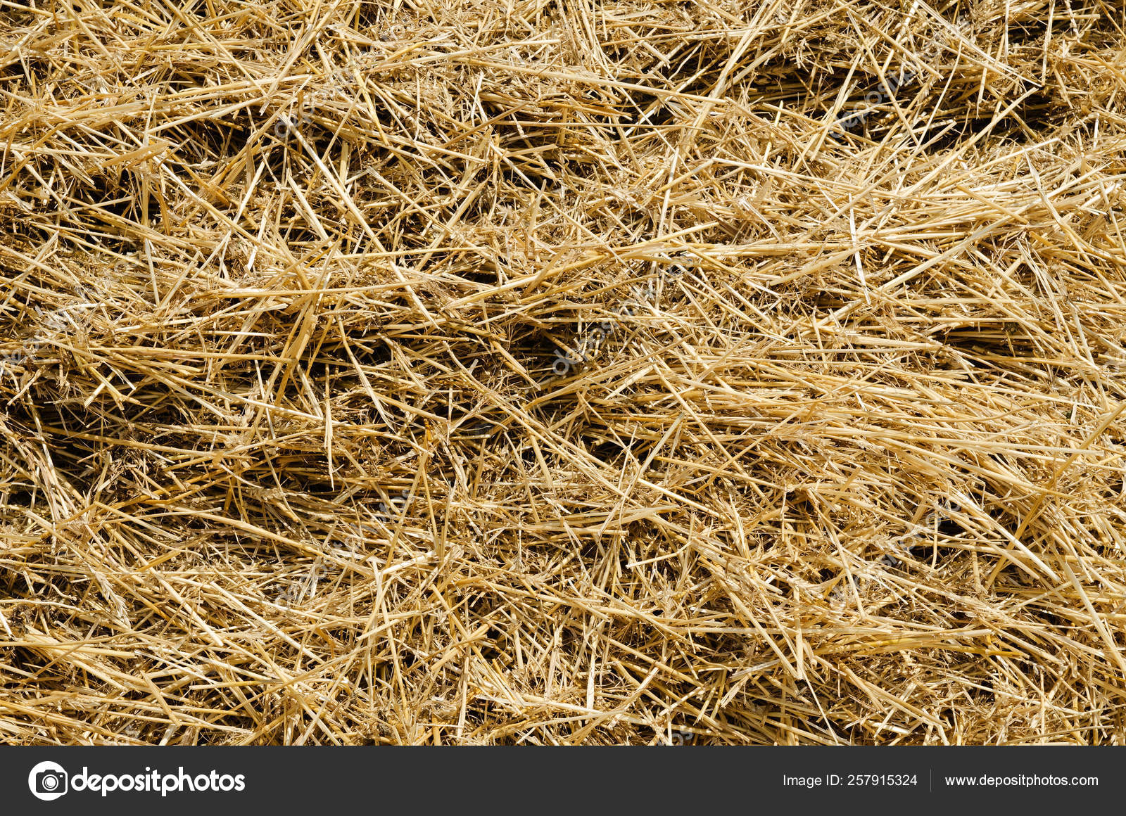 Straw Closeup Background Stock Photo by ©YAYImages 257915324