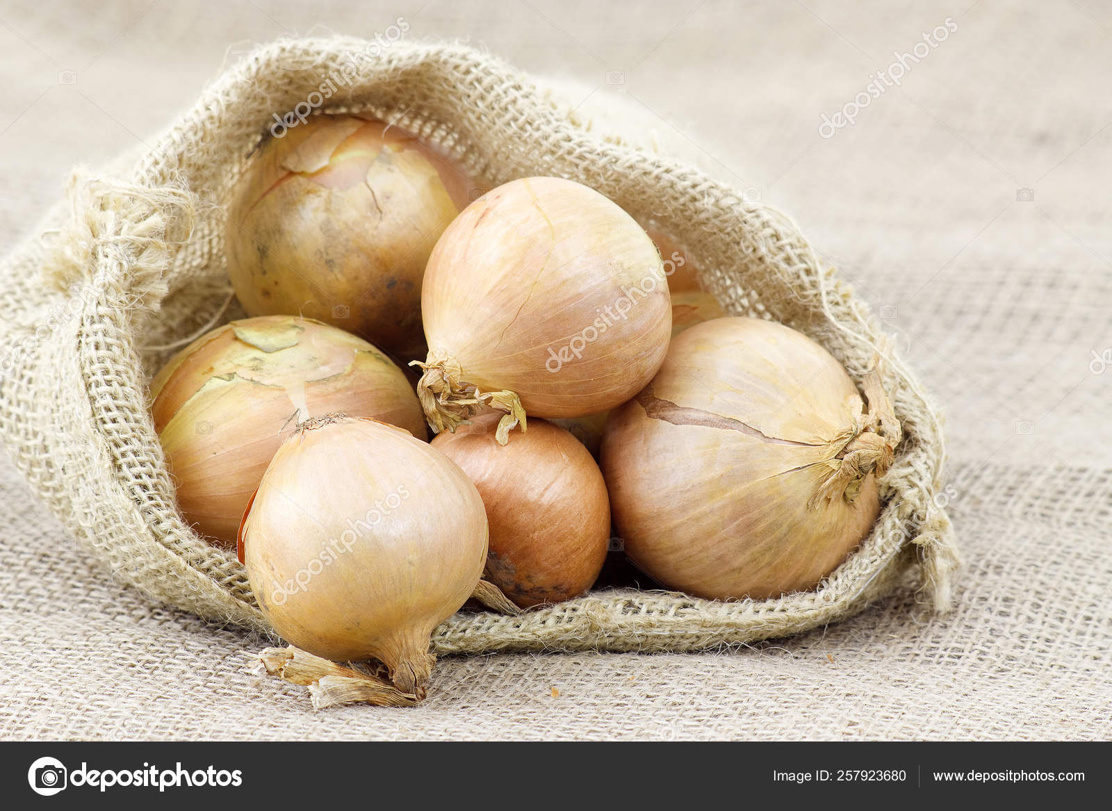 Fresh Onions Package — Stock Photo © YAYImages #257923680
