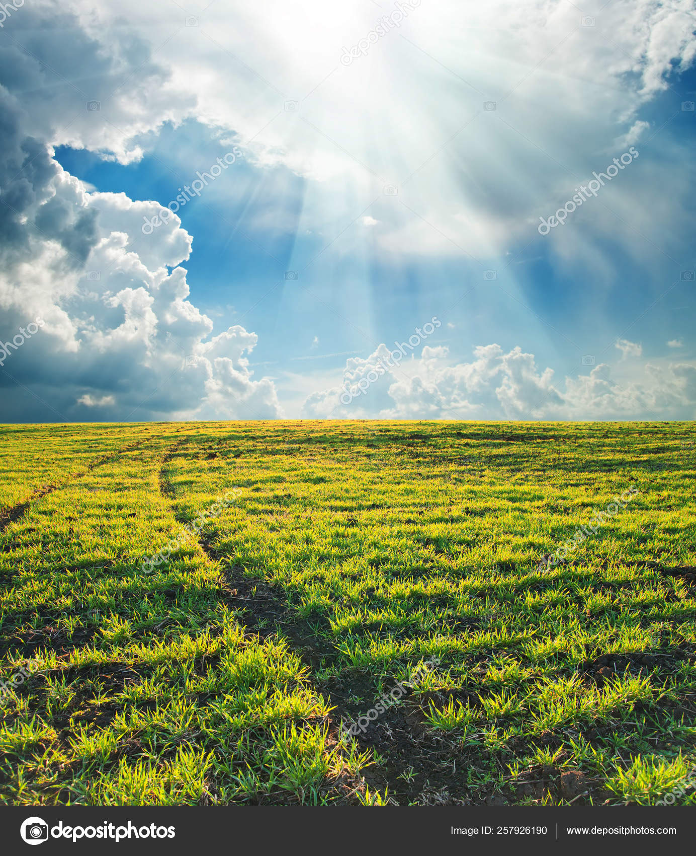Green Field Path Sun — Stock Photo © YAYImages #257926190