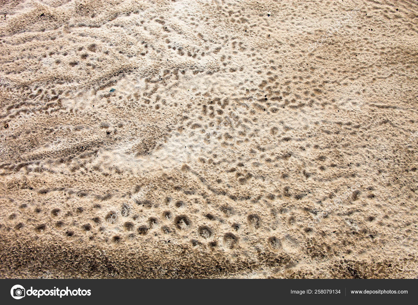 Sand Surface Rain Visible Traces Raindrops Stock Photo by ©YAYImages ...